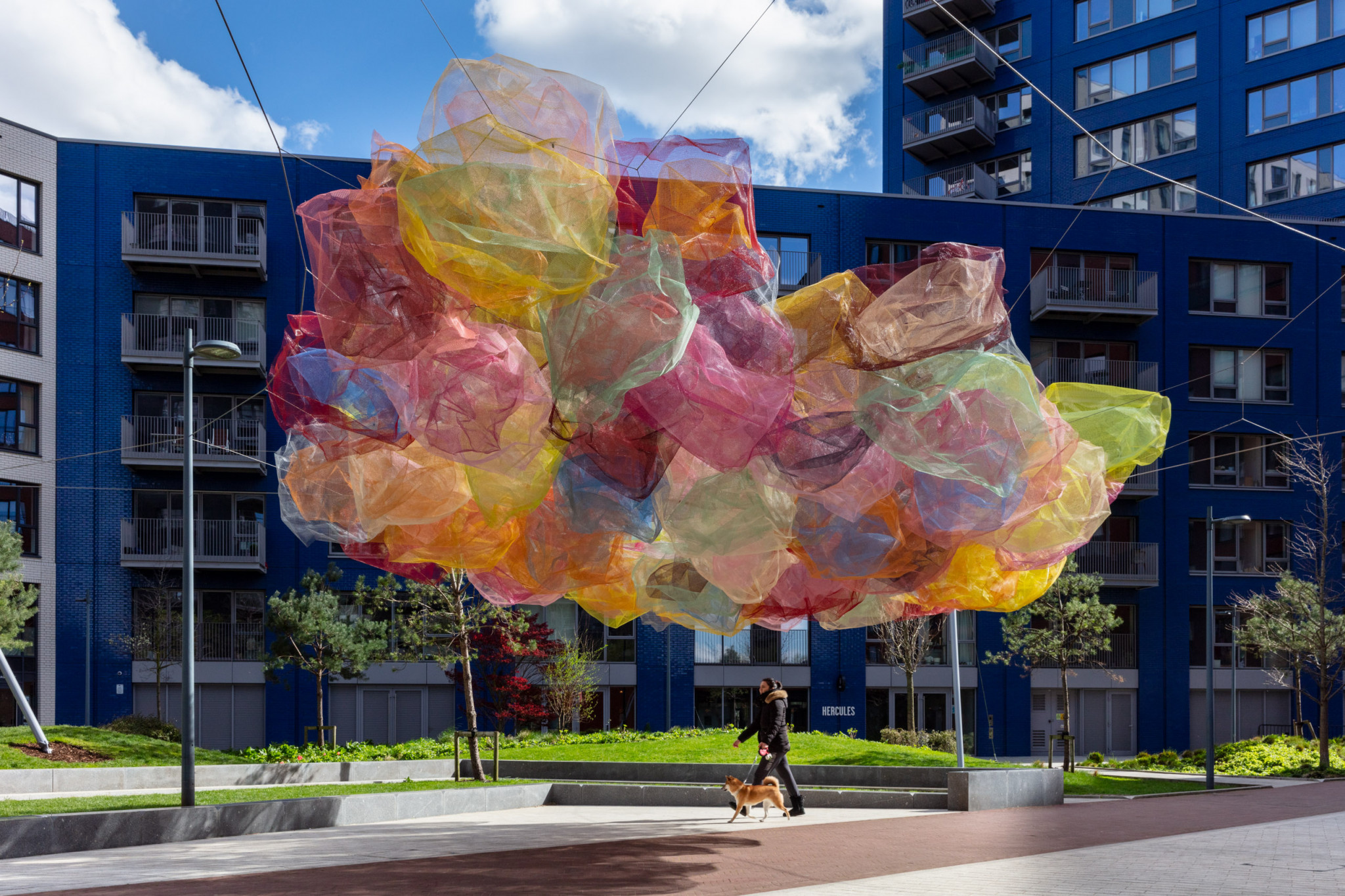 Rana Begum - The Line