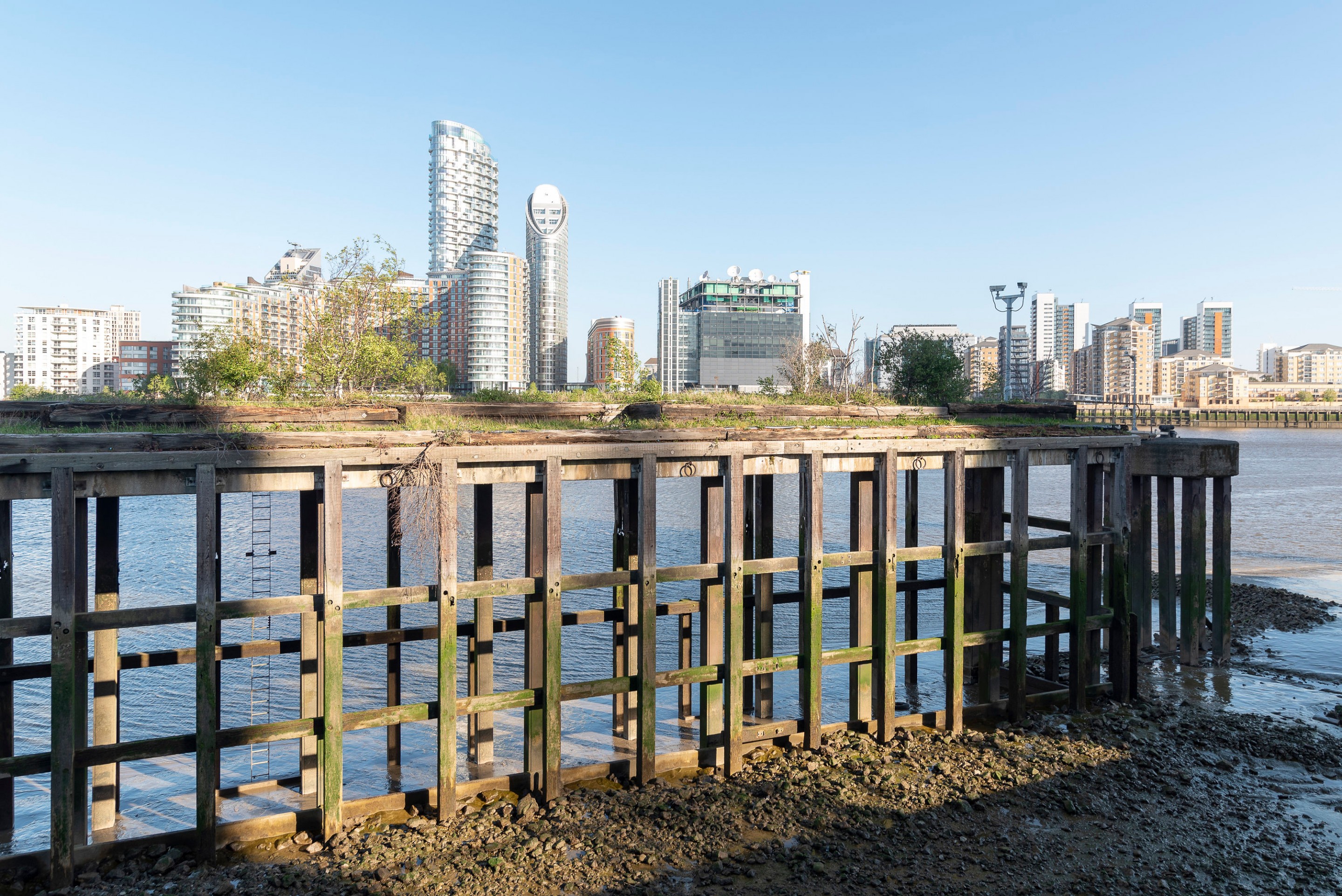 The Green Jetty - The Line