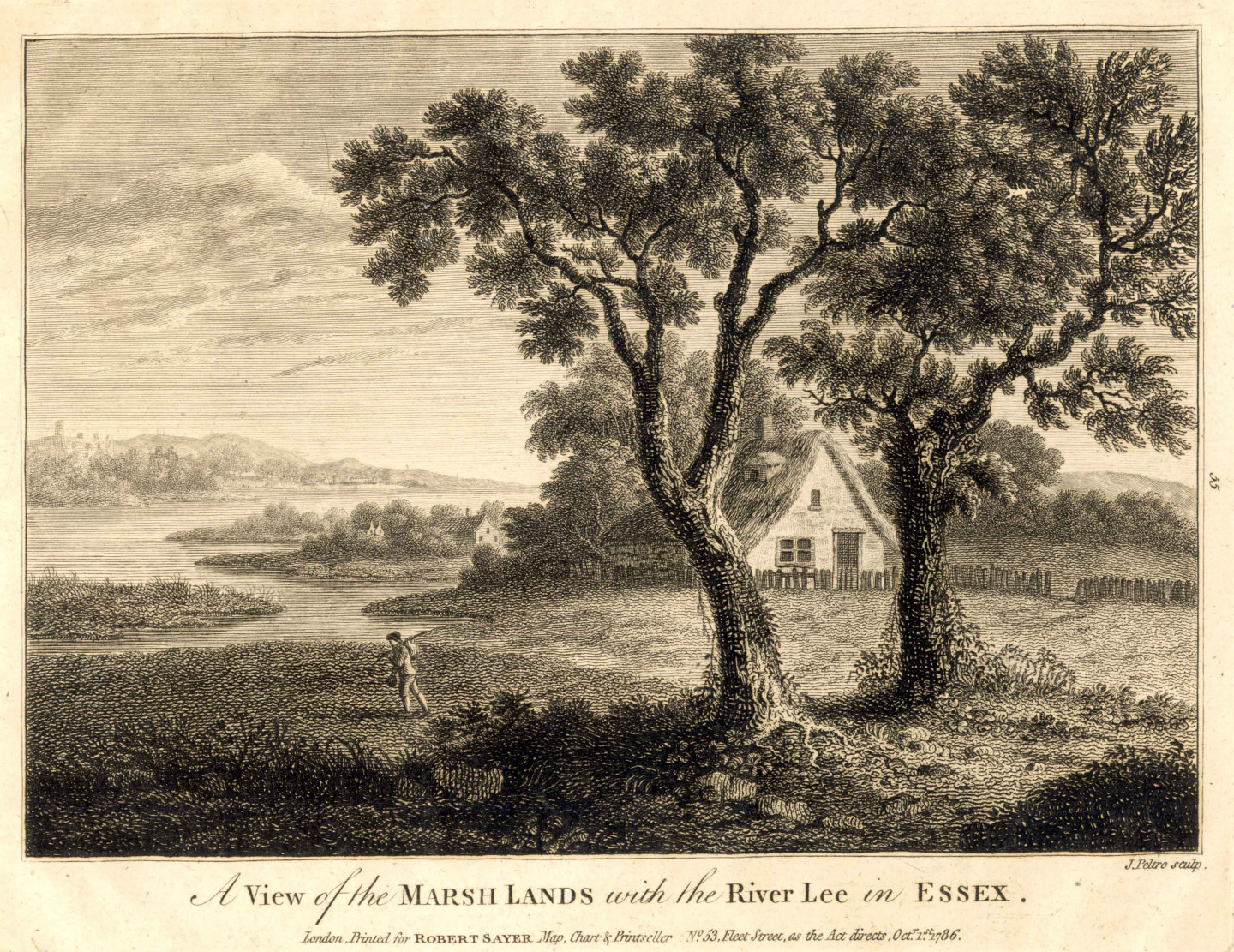 Lee Navigation - The Line