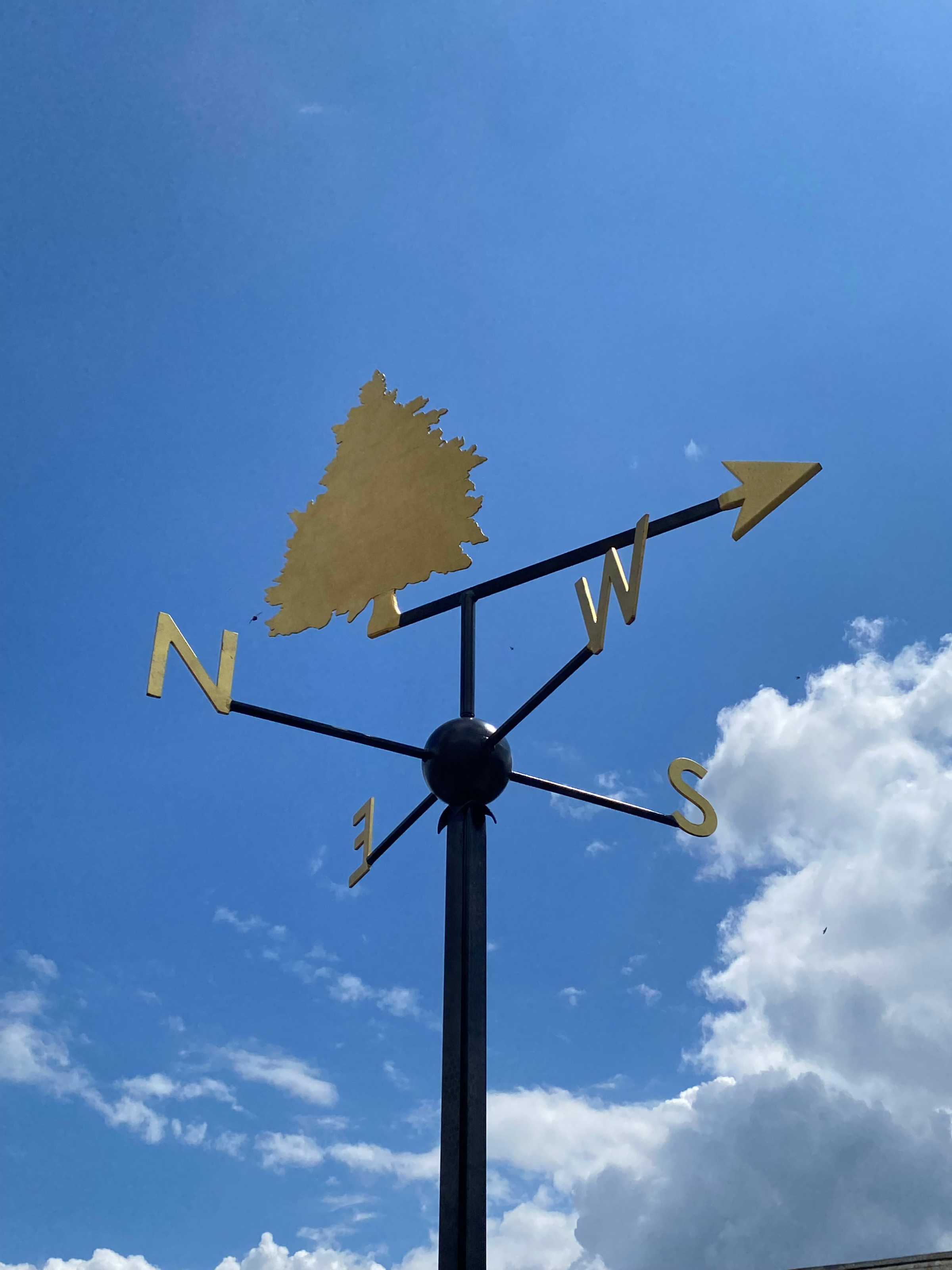 Virginia Overton - The Line