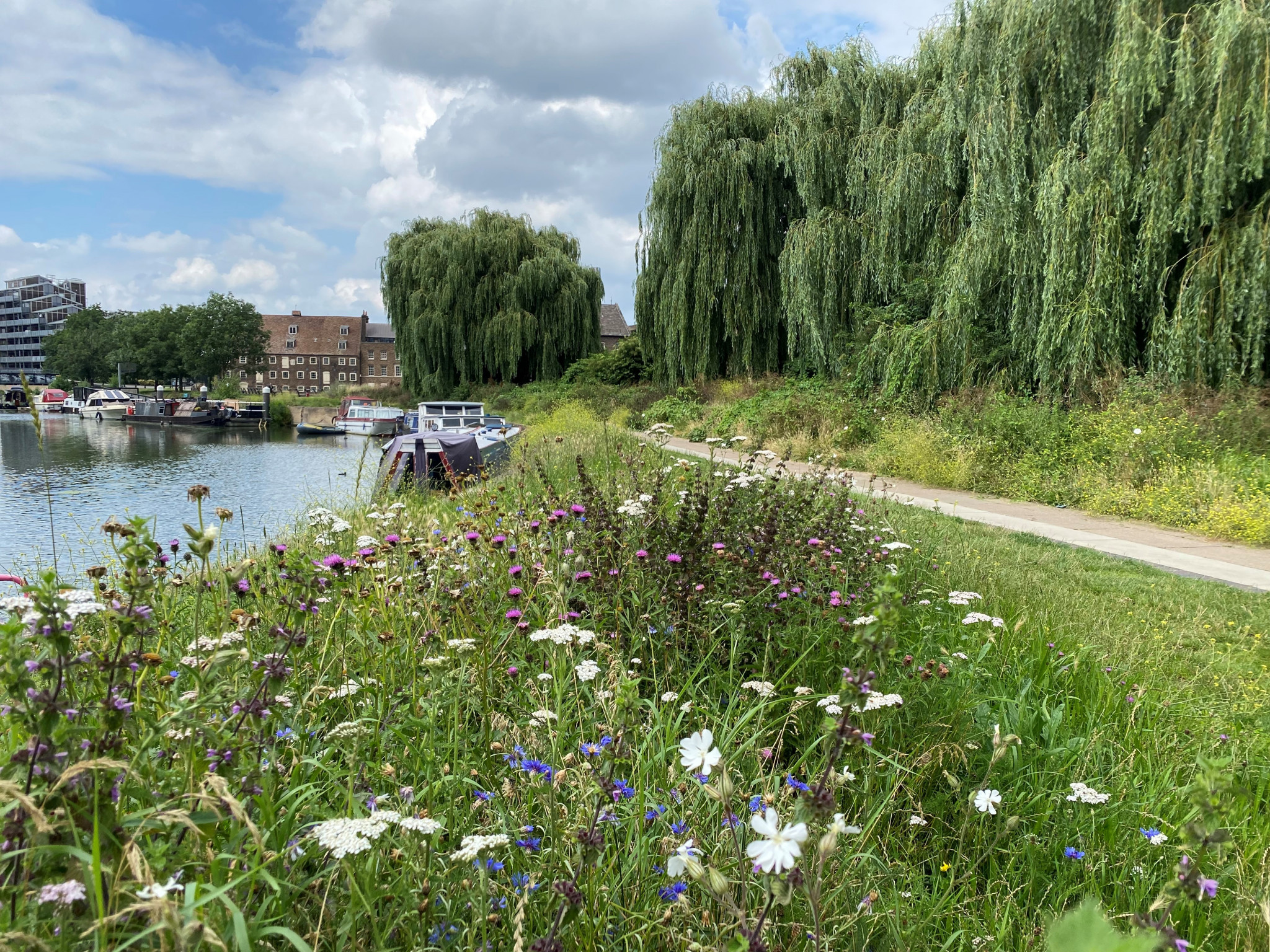 Homepage - The Line - East London's public art trail