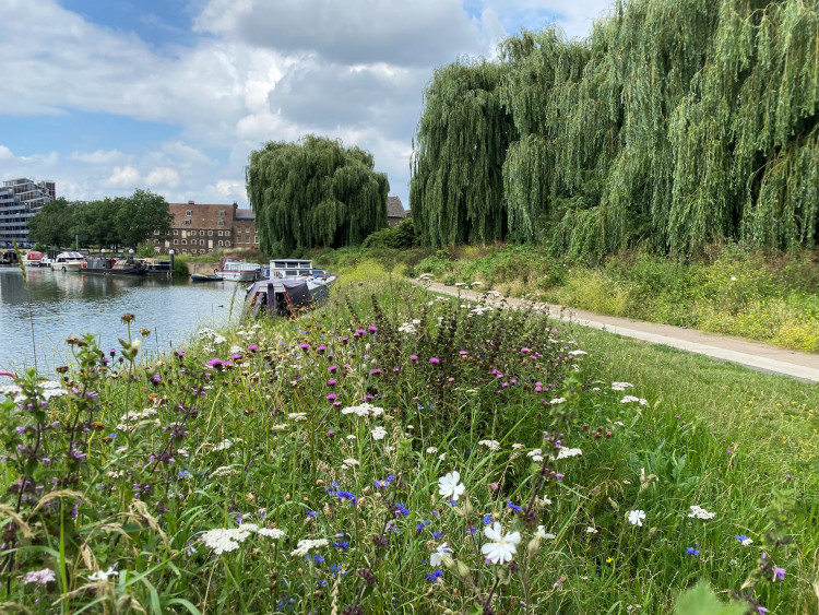 Homepage - The Line - East London's public art trail